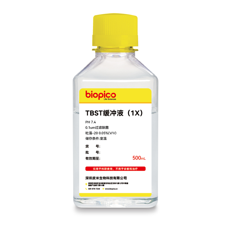 TBS pH 7.6 缓冲液（1×）